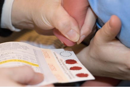 Newborn blood spot screening — Knowledge Hub