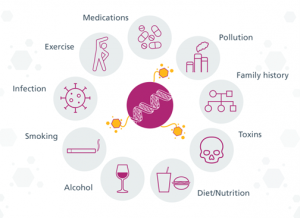 Epigenetics — Knowledge Hub