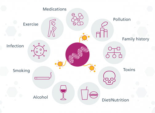 Epigenetics — Knowledge Hub