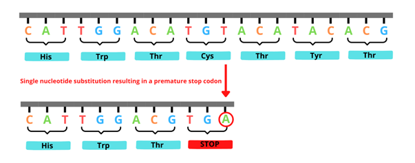 Single nucleotide variants — Knowledge Hub